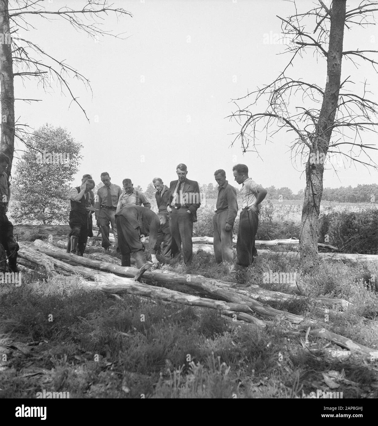 forestry, workers, tools, logs Date: undated Keywords: workers, tree ...
