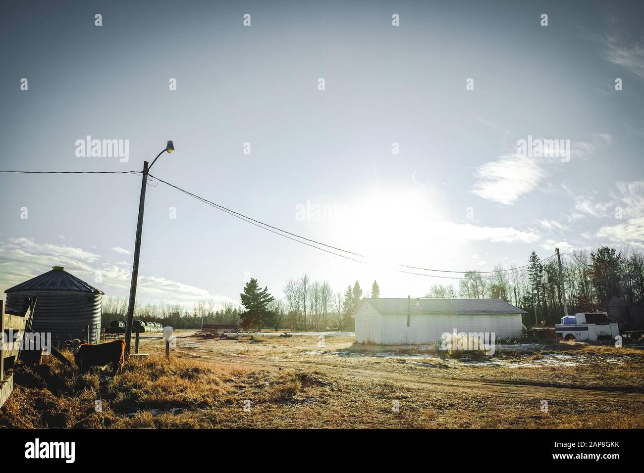 A Farm in Medow Lake, Canada Stock Photo - Alamy