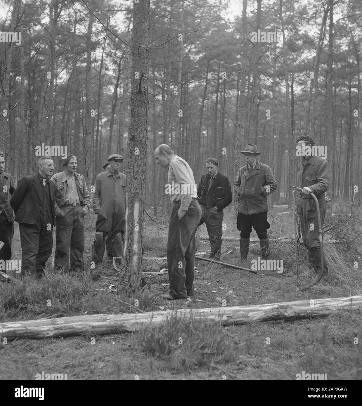 workers, forests, tools, tree trunks Date: undated Keywords: workers ...