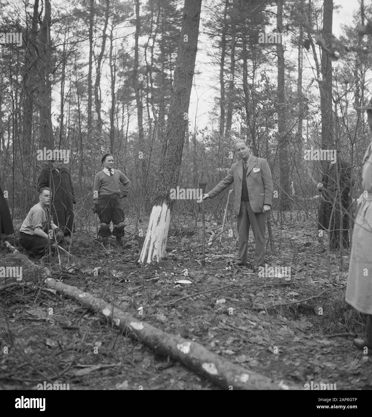 forestry, men, clues Date: undated Keywords: clues, woodworking, men ...