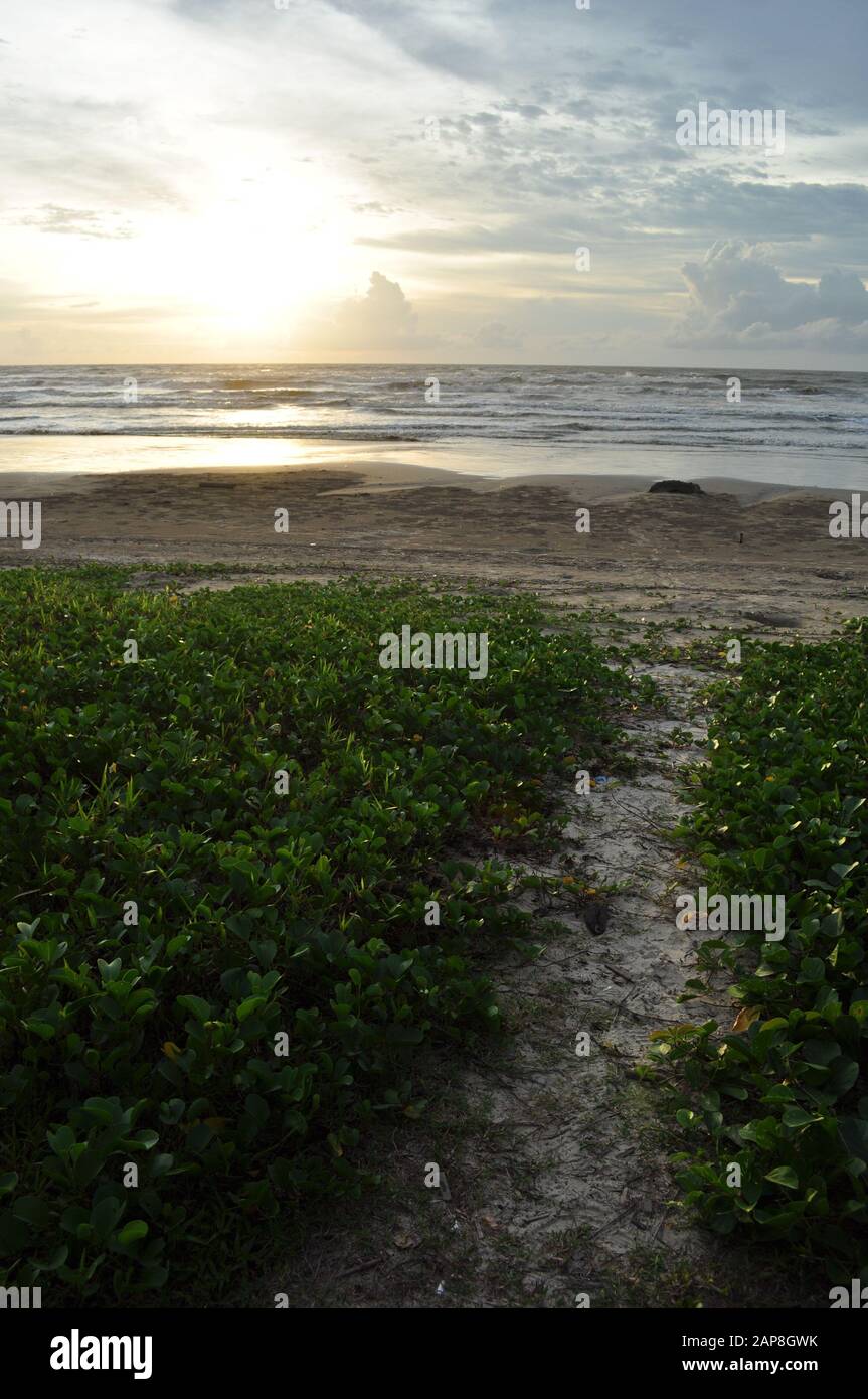 Miri, Sarawak / Malaysia - April 2011: The beautiful beaches of Luak ...