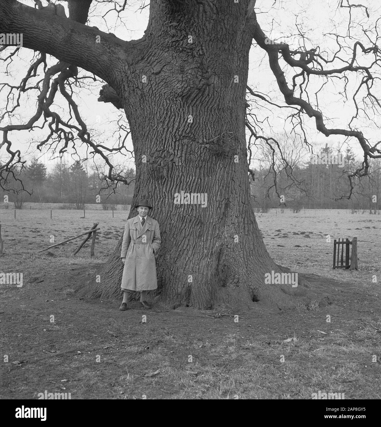 trees, trunks, men Date: undated Keywords: trees, men, tribes Stock ...