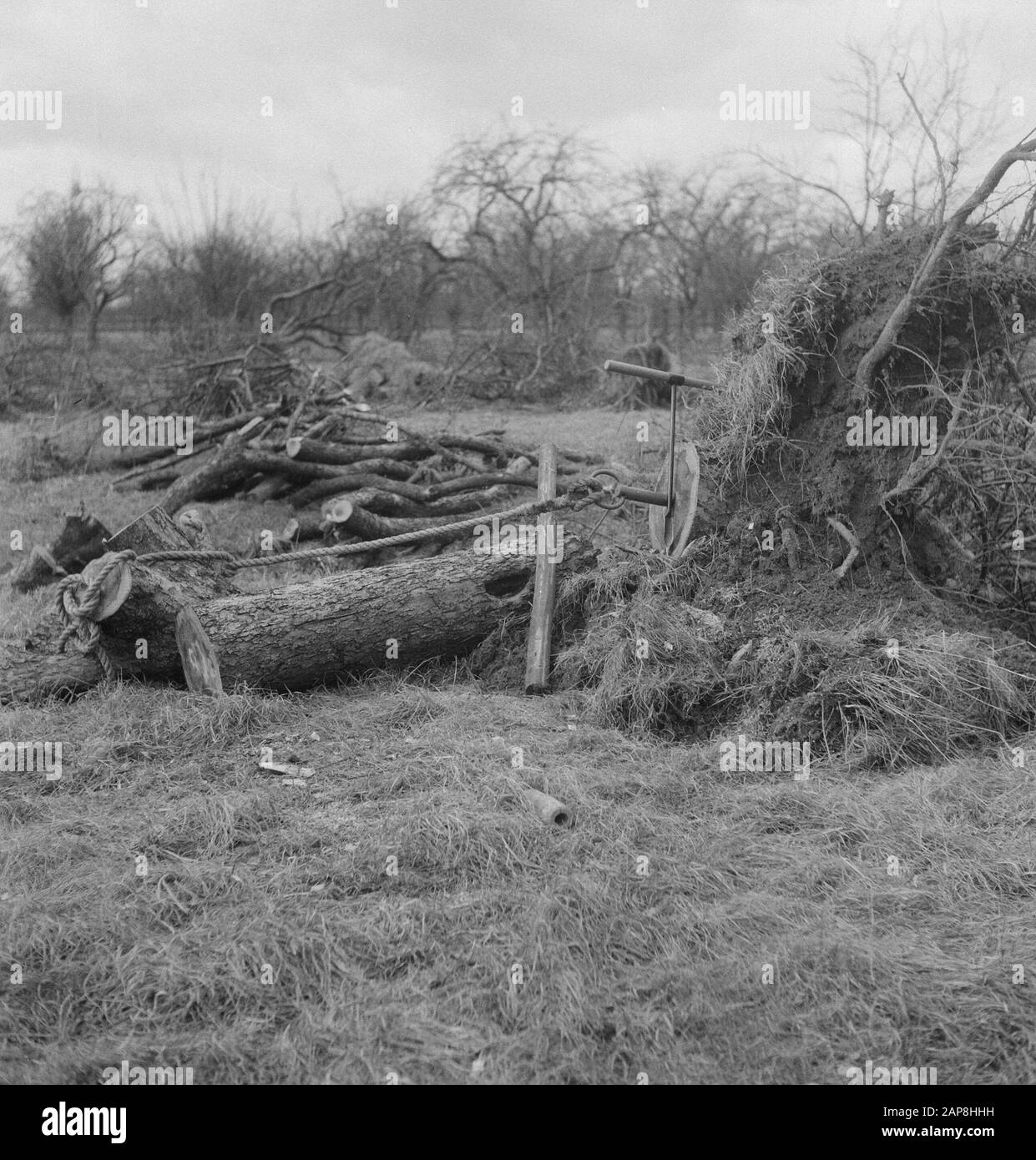 woodworking, logs, tools, tools Date: undated Keywords: tree trunks ...