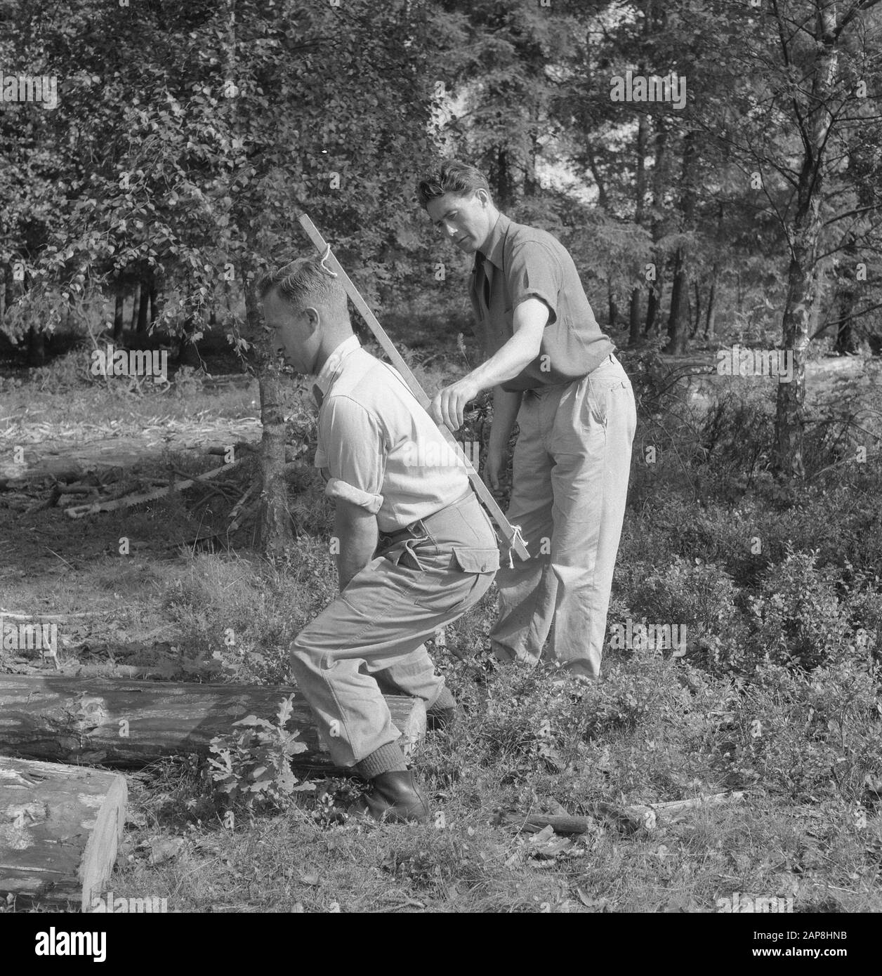 forests, workers, measuring, logs, work Date: undated Keywords: workers ...