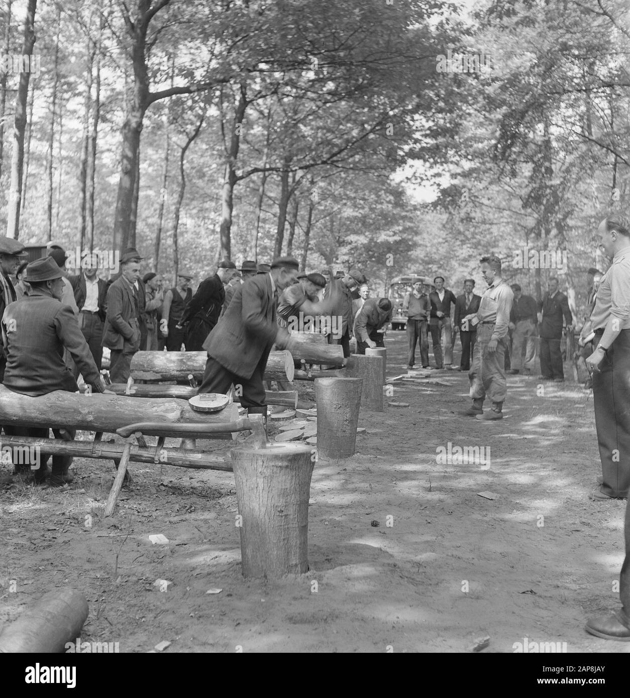 forestry, workers, logs, work Date: undated Keywords: workers, tree ...