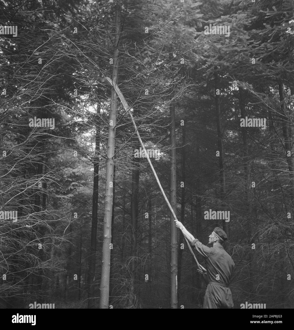 Pine tools Black and White Stock Photos & Images - Alamy