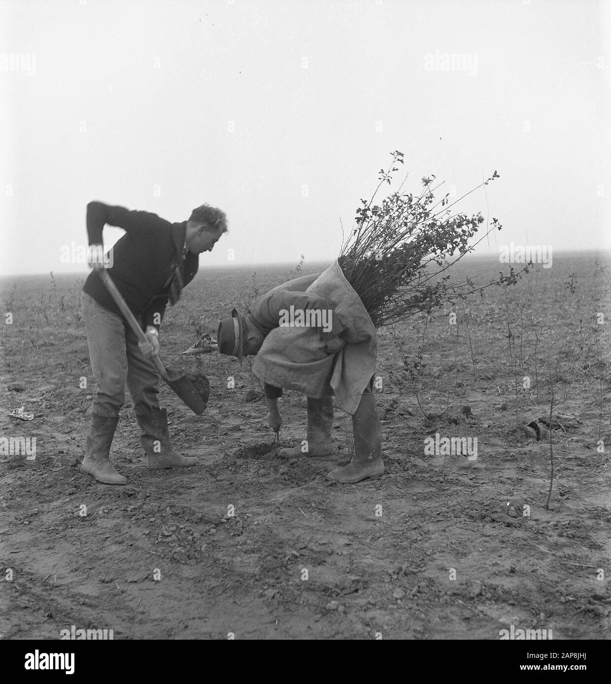 workers, work, branches, plants Date: undated Keywords: workers, plants ...