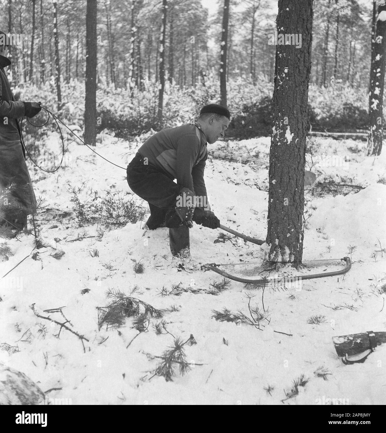 forestry, workers, work, snow, saw Date: undated Keywords: workers ...