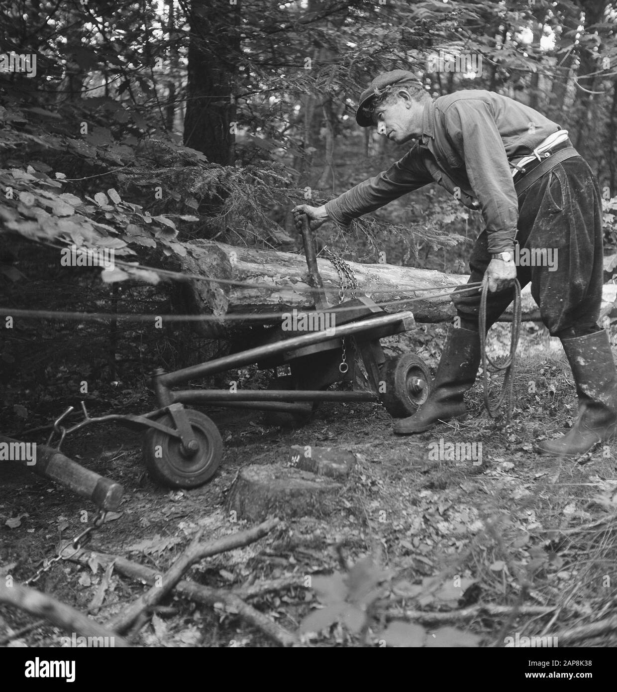 forestry, logs, transport, workers, carts Date: undated Keywords ...