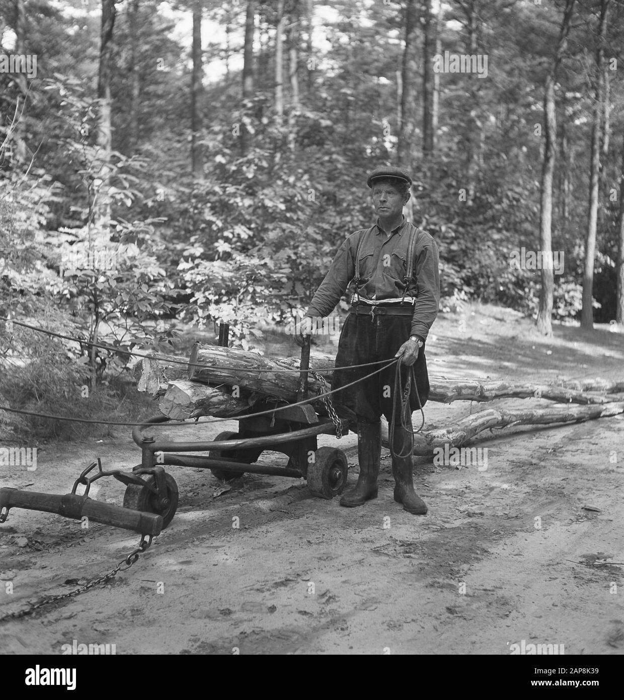 forestry, logs, transport, workers, carts Date: undated Keywords ...