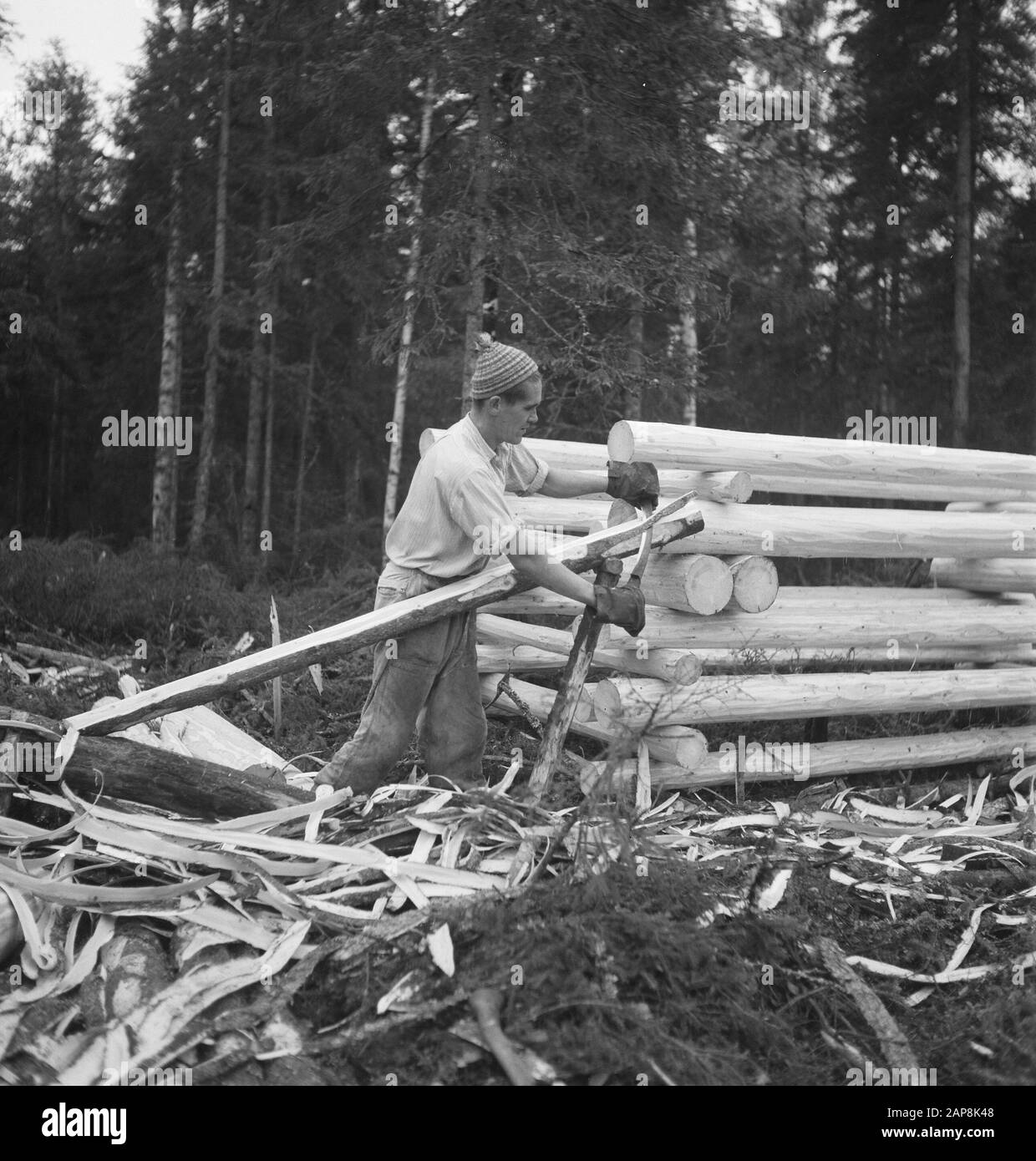 forestry, workers, tools, trees sheets Date: undated Keywords: workers ...