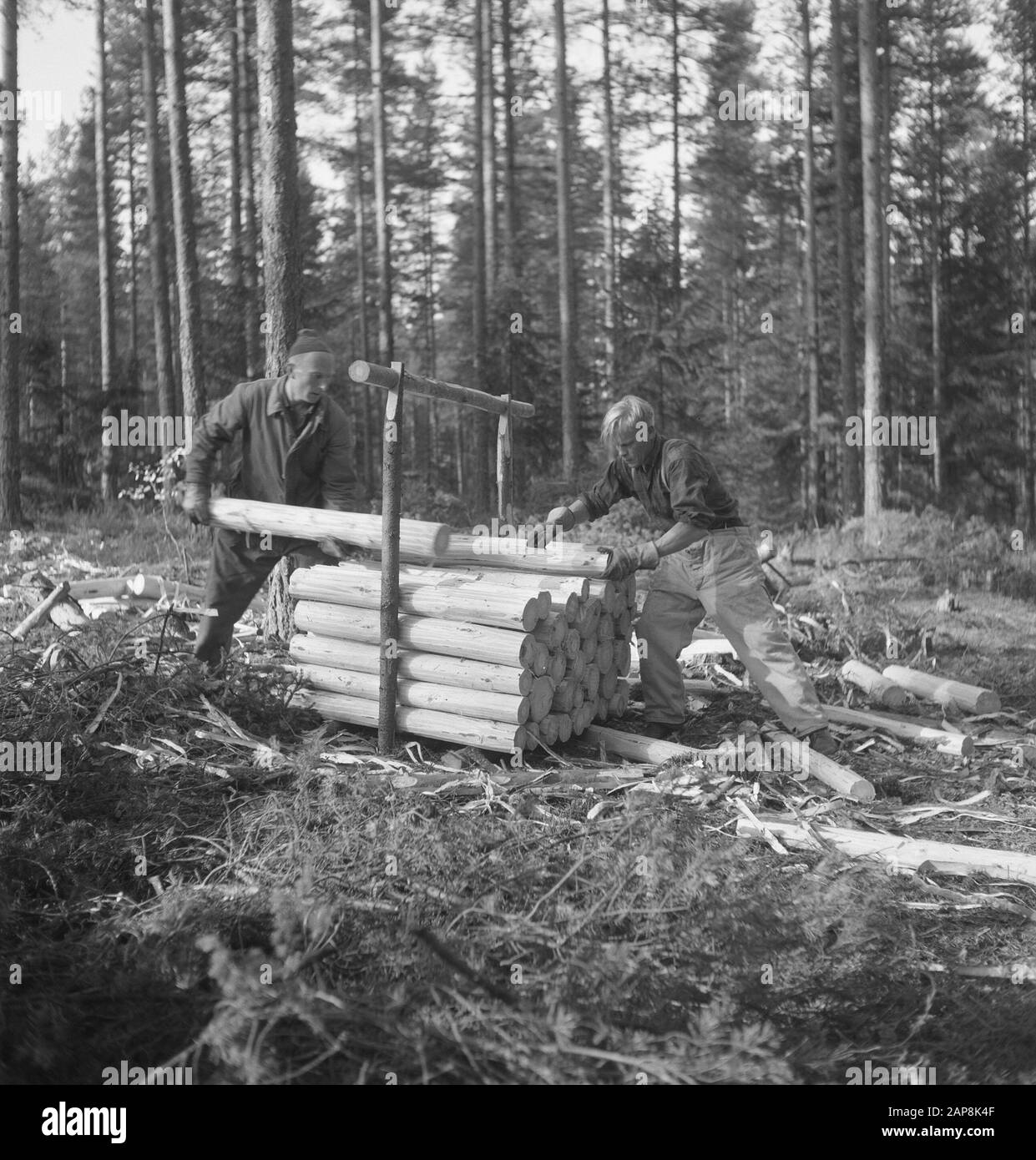 Method of stacking Black and White Stock Photos & Images - Alamy