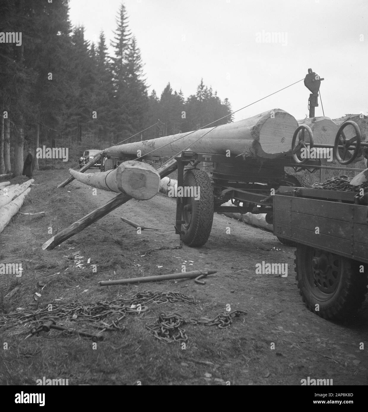 forestry, forest roads, vehicles, tree trunks Date: undated Keywords ...