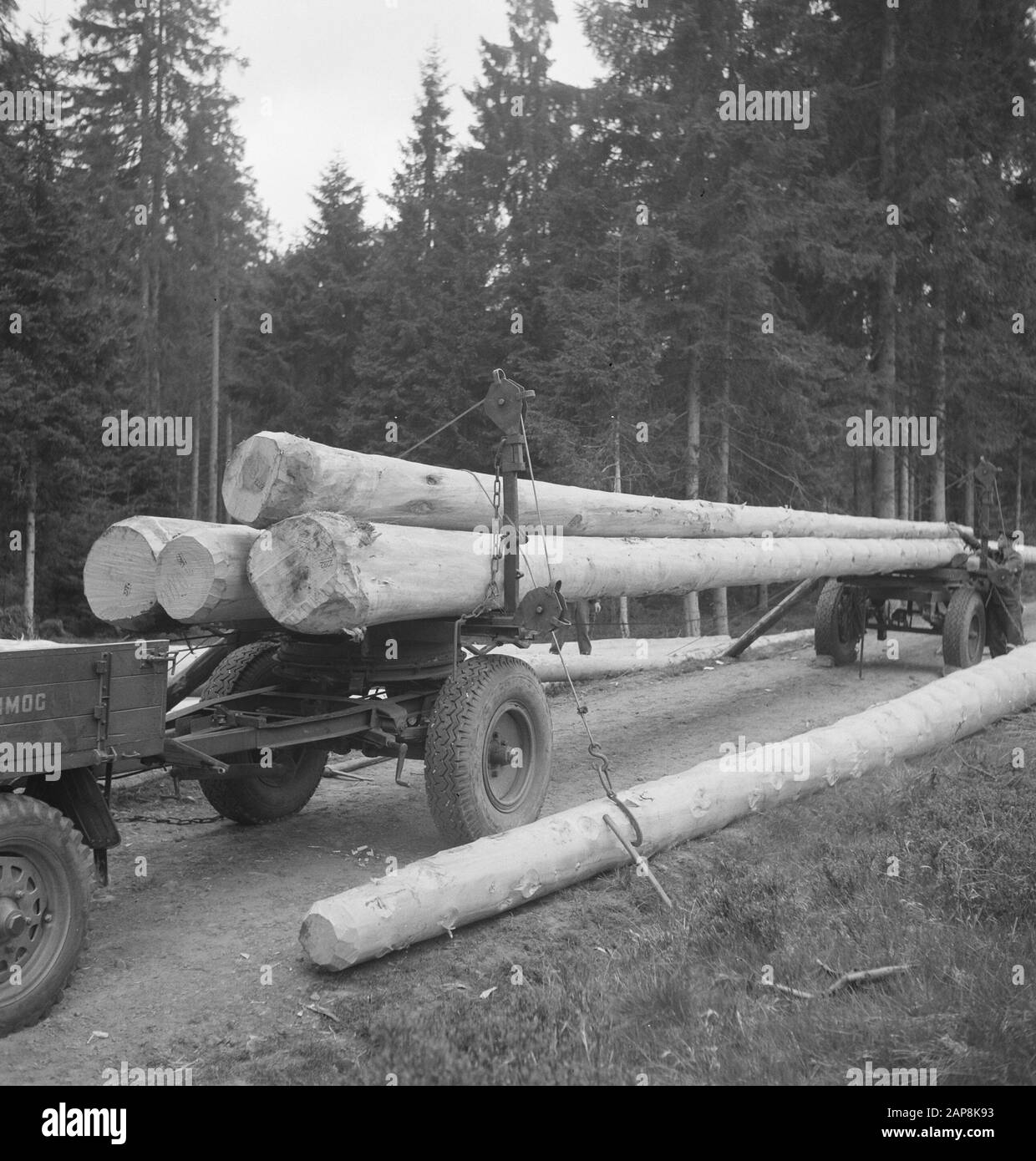 forestry, forest roads, cars, logs, transport Date: undated Keywords ...