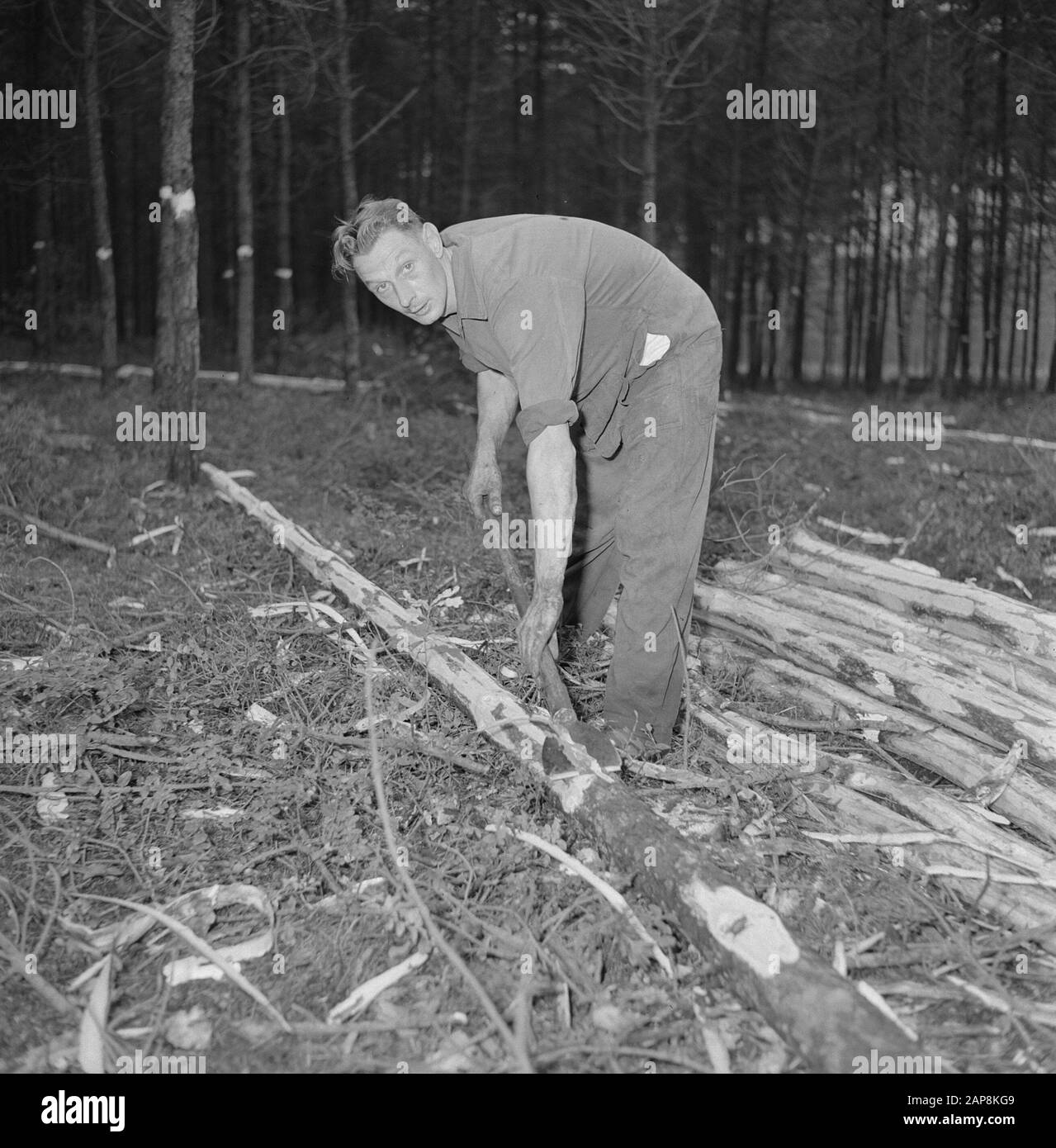 Forestry floor Black and White Stock Photos & Images - Alamy