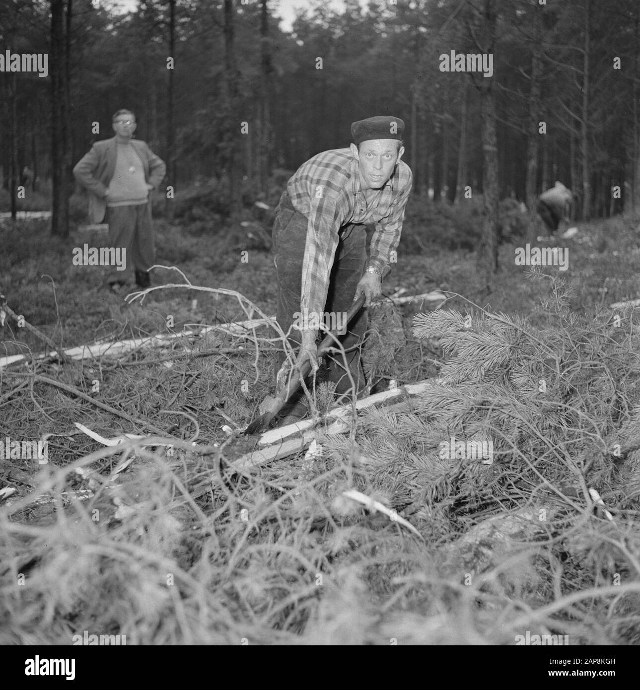 forestry, workers, trees, tools Date: undated Keywords: workers, trees ...