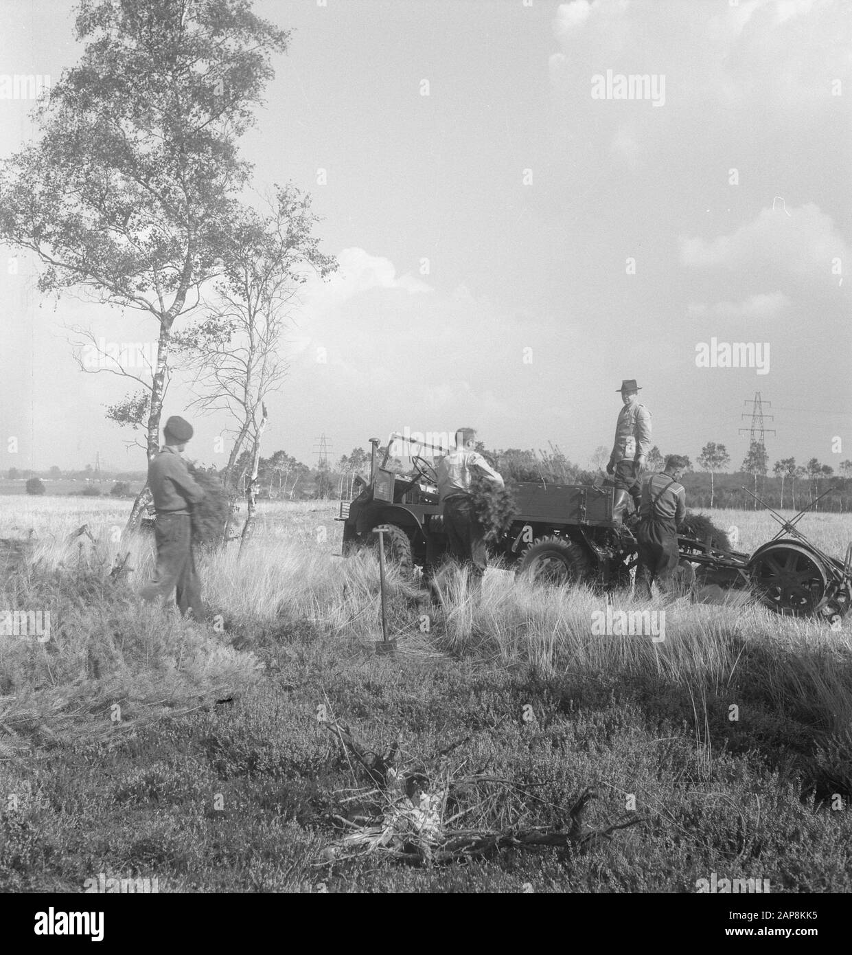 Planting shrubs shrub Black and White Stock Photos & Images - Alamy
