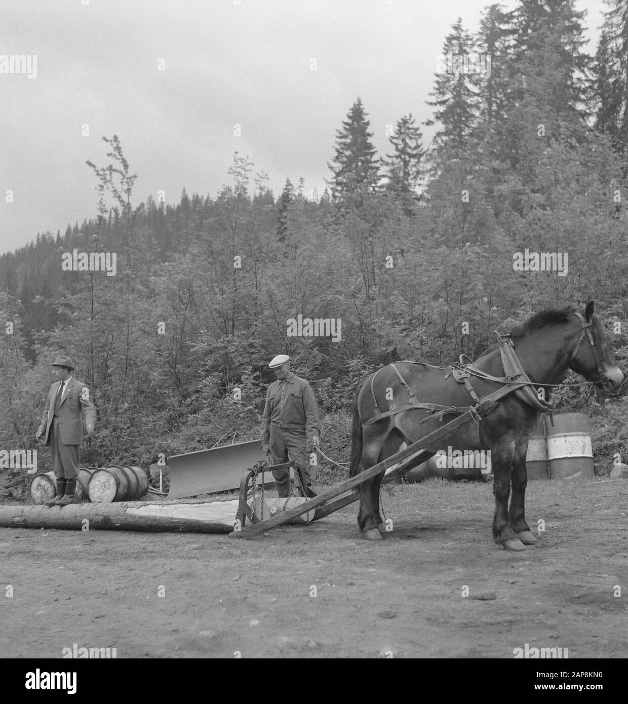 forestry, tools, animals, tree trunks, horses Date: undated Keywords ...