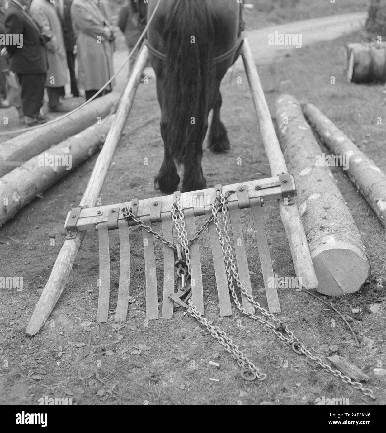 forestry, tools, animals, tree trunks, chains, horses Date: undated ...