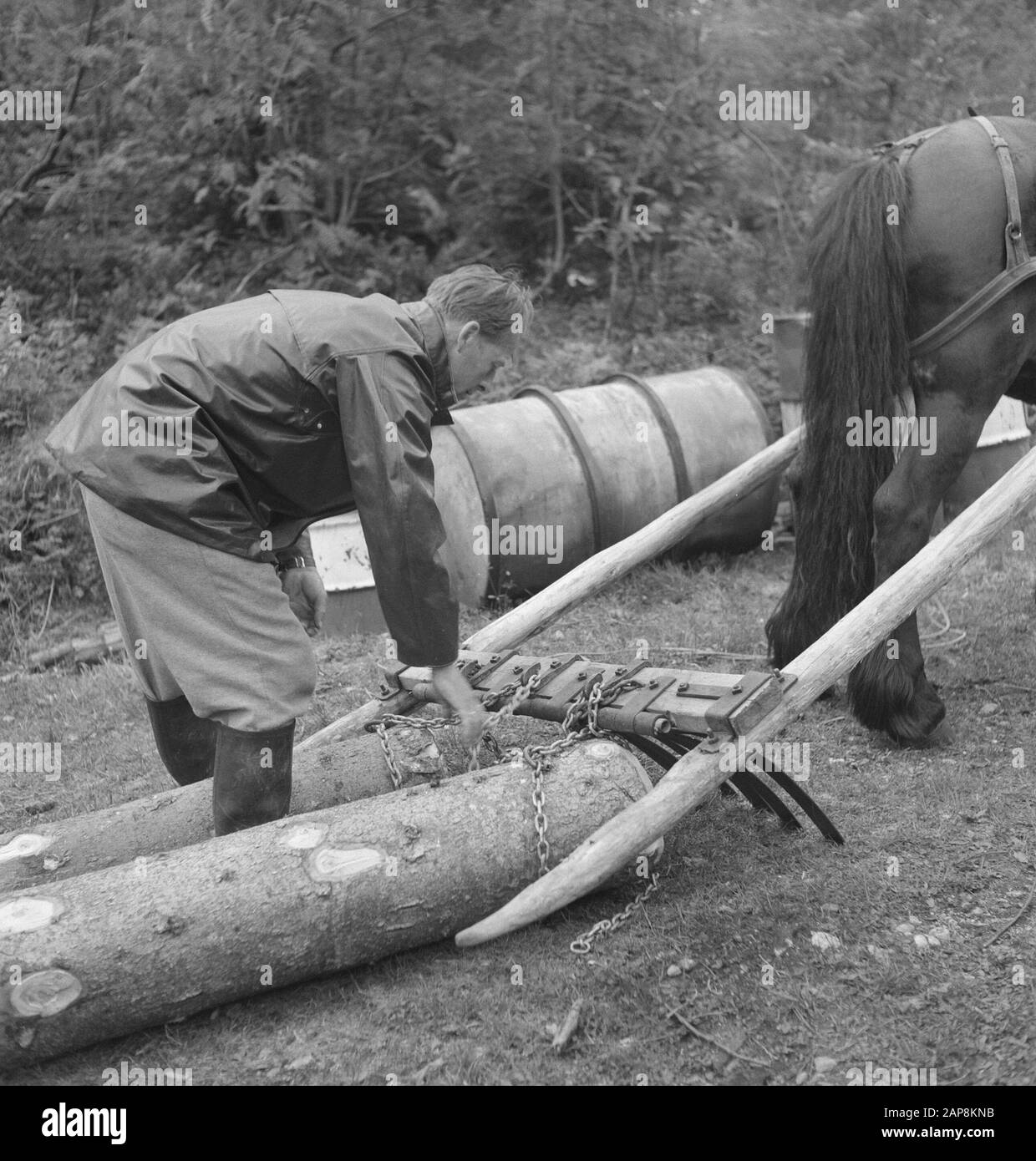 forestry, tools, animals, tree trunks, horses Date: undated Keywords ...