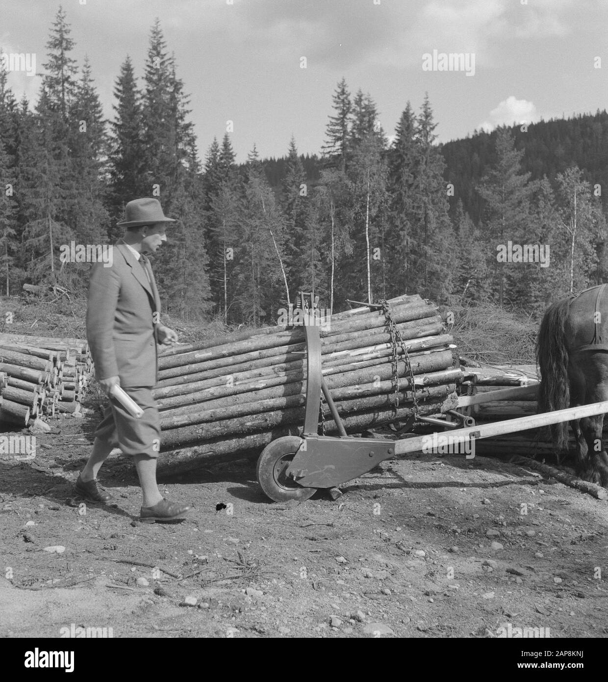 forestry, machinery, tools, animals, chains, horses Date: undated ...