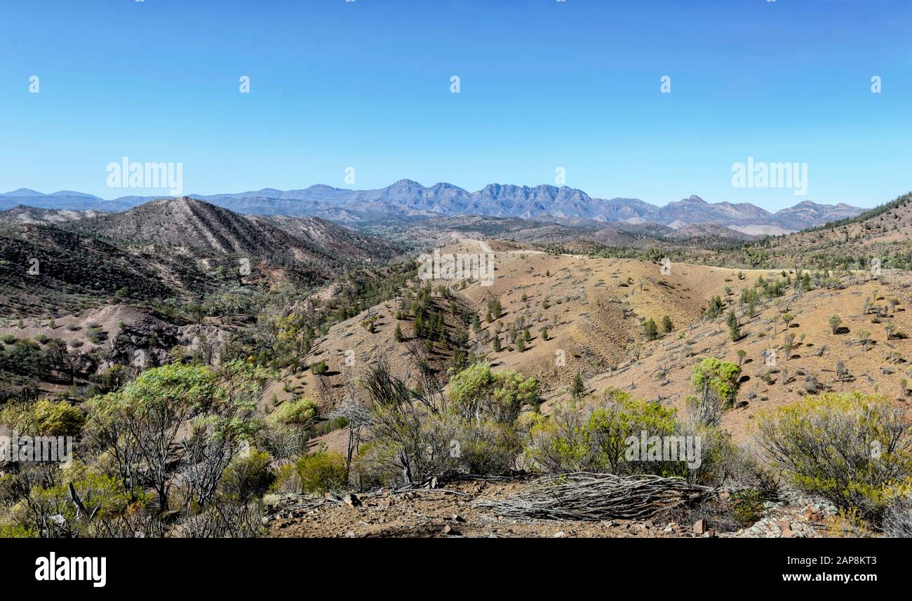 Panoramic view of the Razorback, Bunyeroo Gorge, Ikara-Flinders Ranges ...