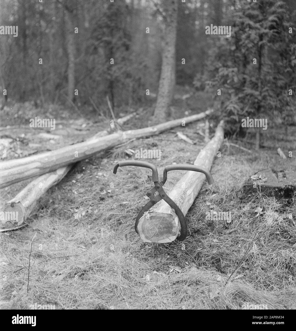Woodcraft tools Black and White Stock Photos & Images - Alamy