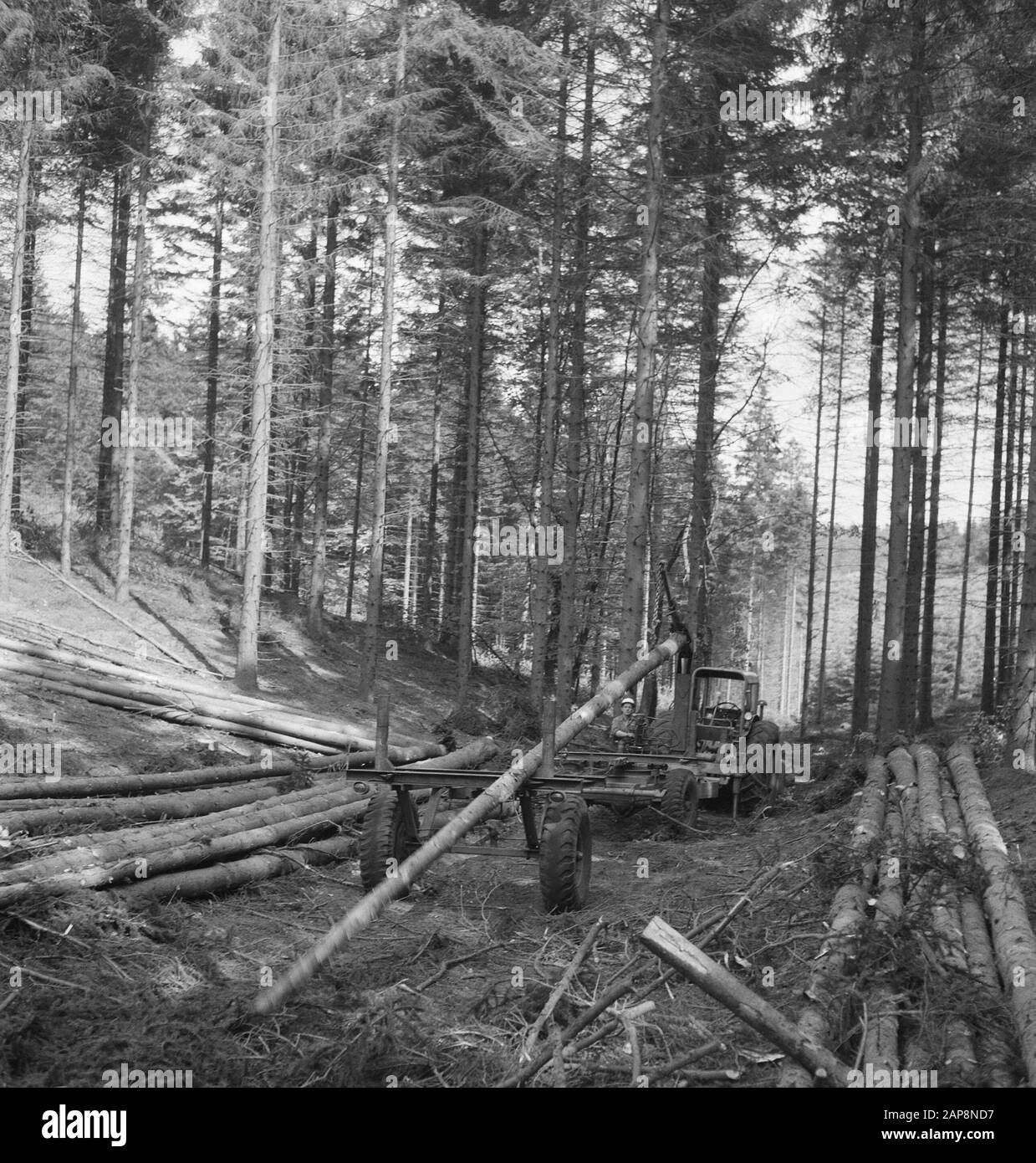 Harvesting lumber production operation machine Black and White Stock ...