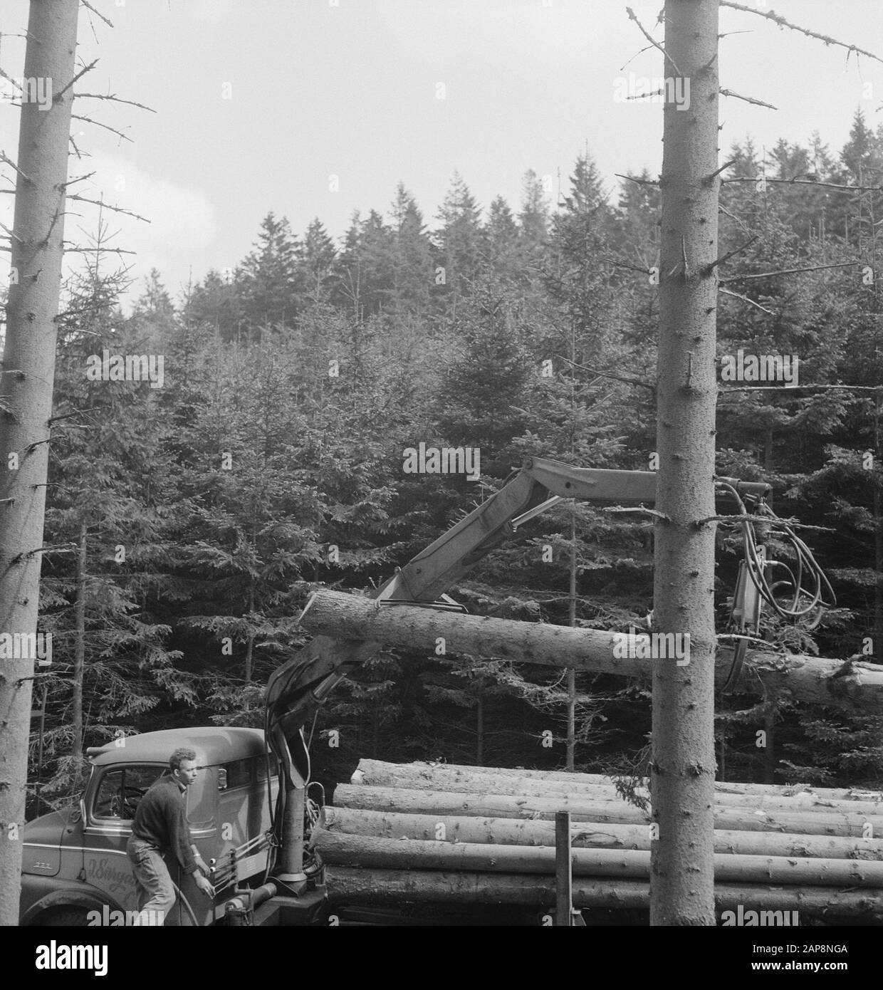 Lifting tree trunks Black and White Stock Photos & Images - Alamy