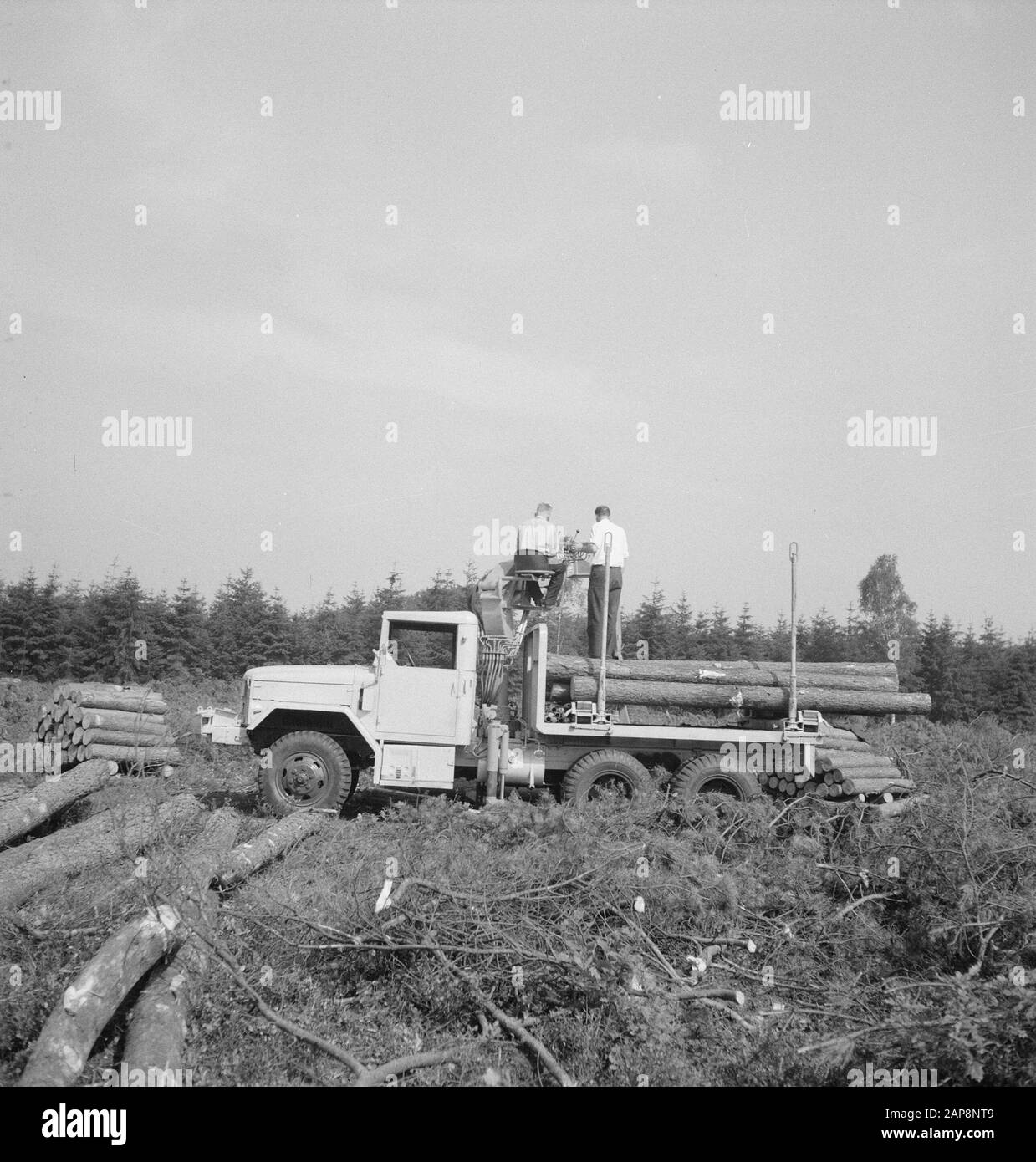 workers, tow trucks, works, logs Date: undated Keywords: workers, tree ...