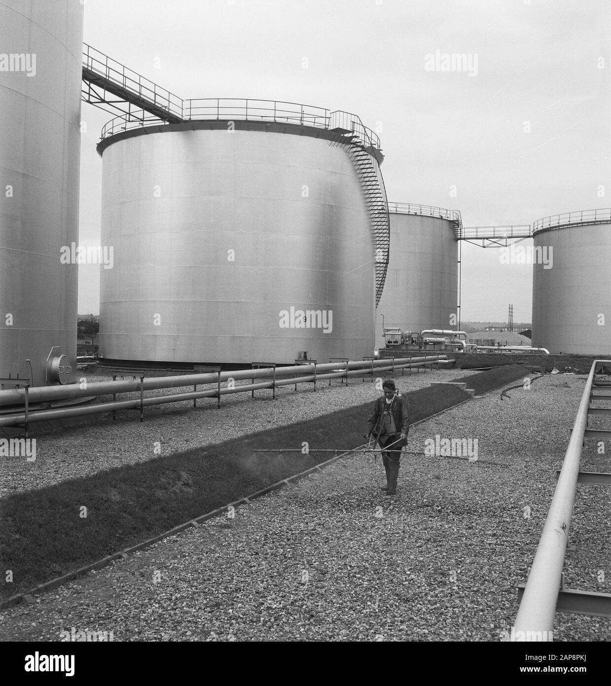 Shell work Black and White Stock Photos & Images - Alamy