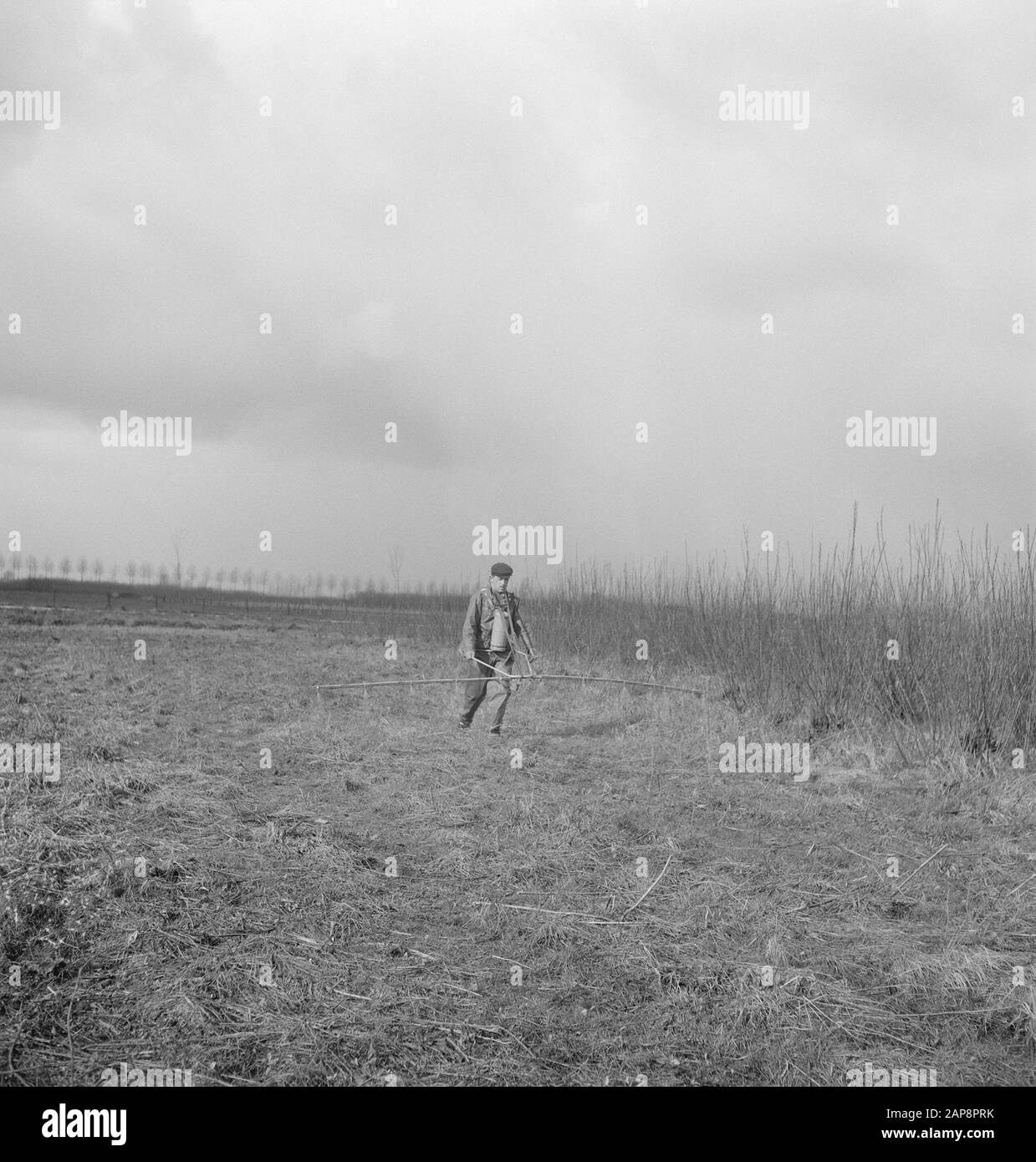 workers, plains, spraying plants, spraying works Date: undated Keywords ...
