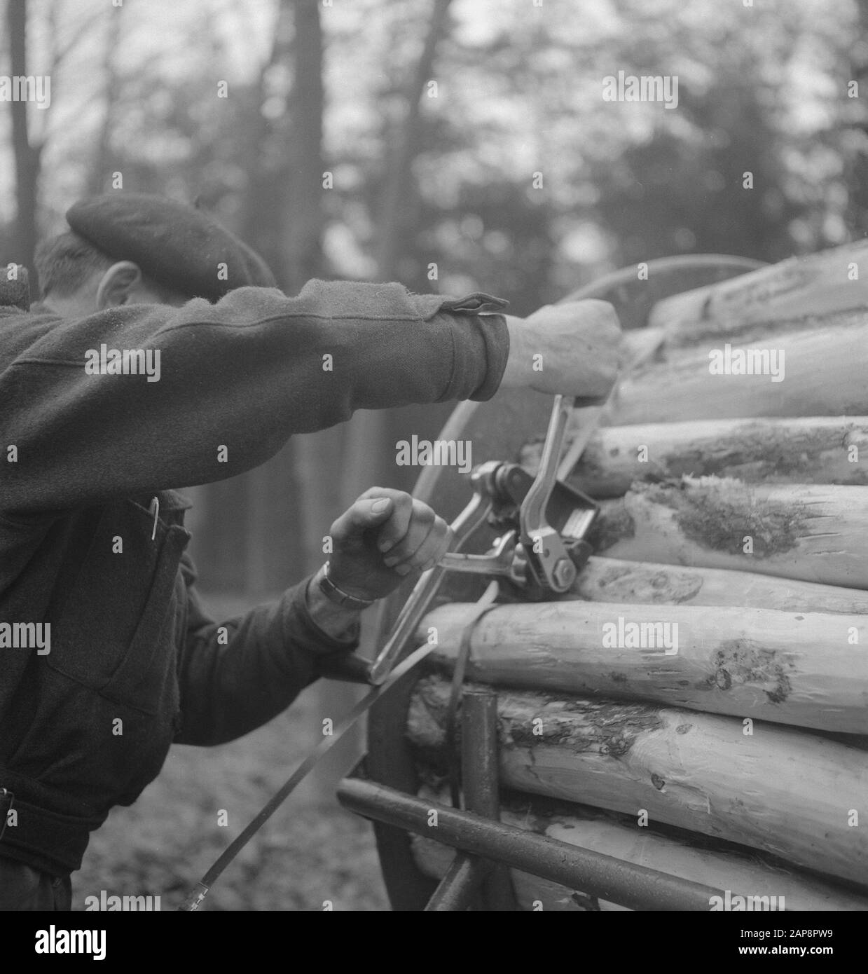 workers, forests, work, logs, carts, tying Date: undated Keywords ...