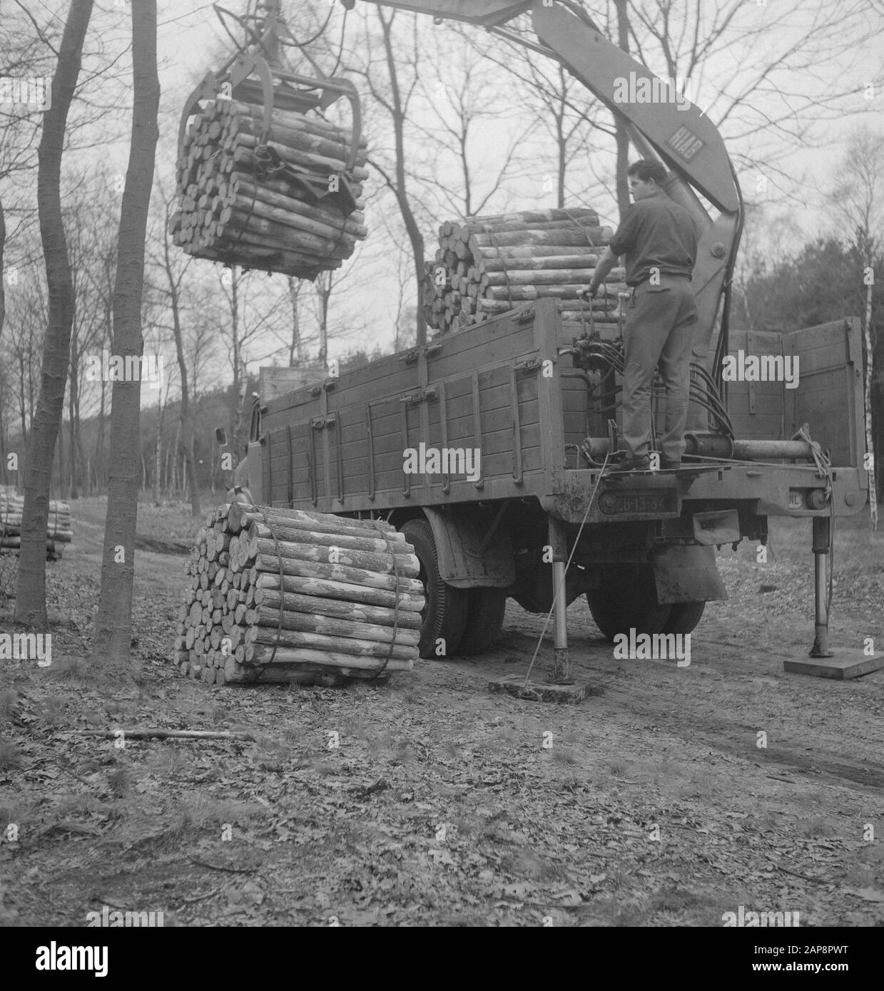 forests, logs, tow trucks, trucks, loading works, workers Date: undated ...