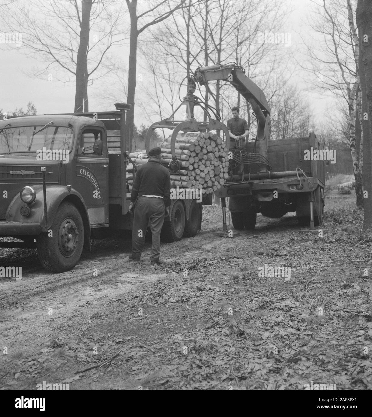 forests, logs, tow trucks, trucks, loading works, workers Date: undated ...
