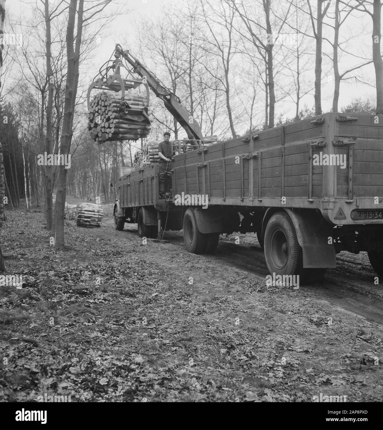 forests, logs, tow trucks, trucks, loading works, workers Date: undated ...