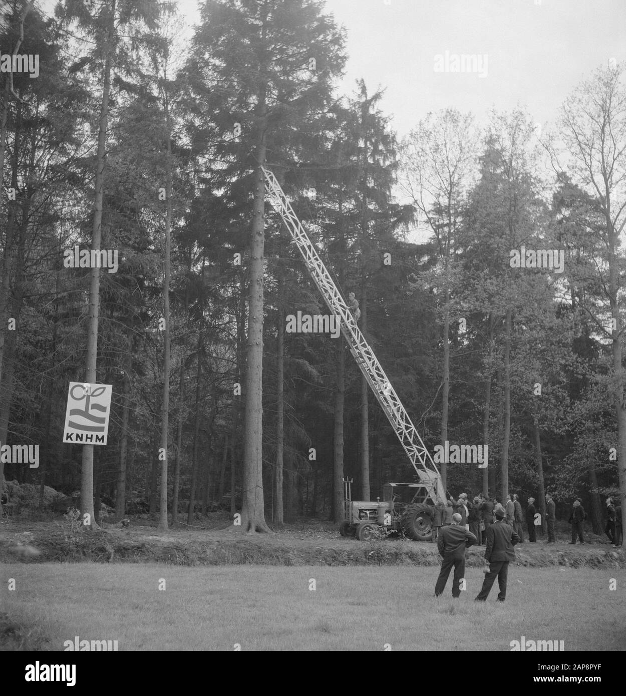 Ladders and platforms hi-res stock photography and images - Alamy