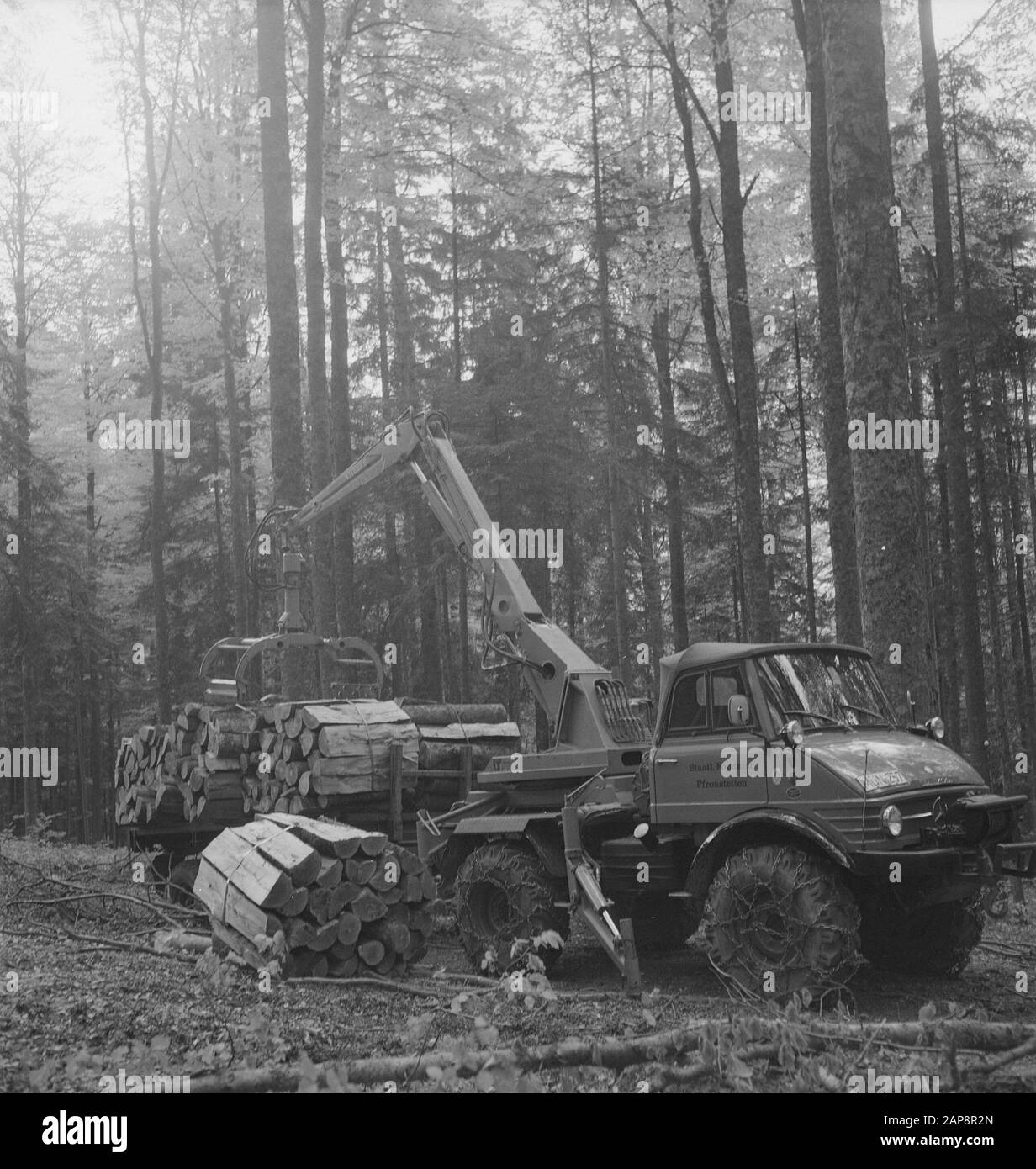 forestry, tree trunks, tow trucks, work Date: undated Keywords: tree ...