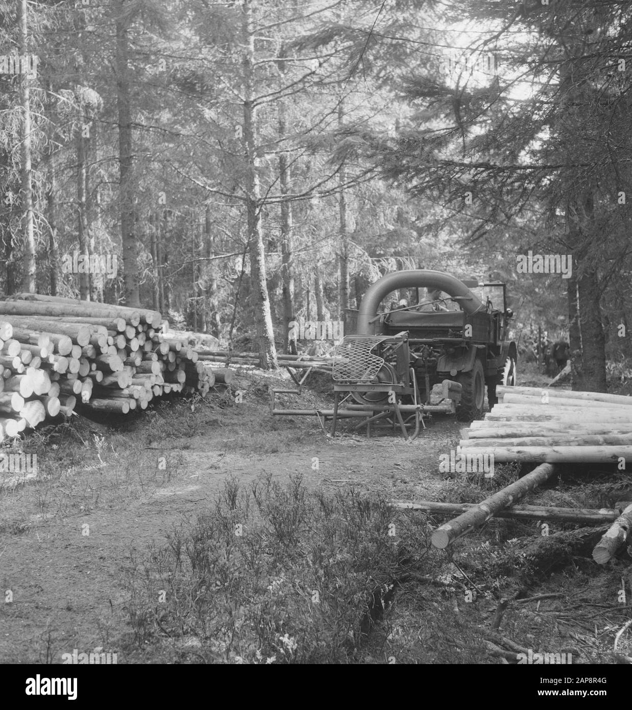 forestry, logs, machines, tools, trees sheets Date: undated Keywords ...