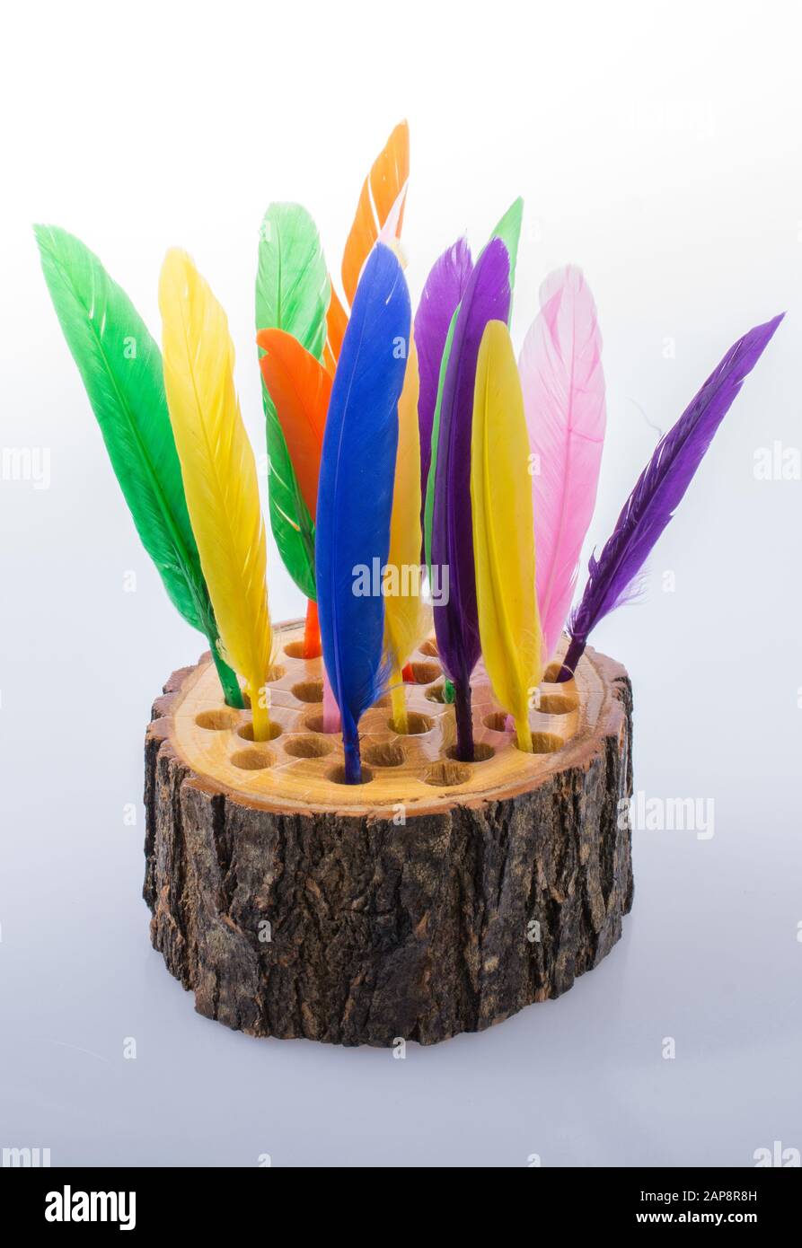 Collection of bright colored feathers on a wooden log Stock Photo - Alamy