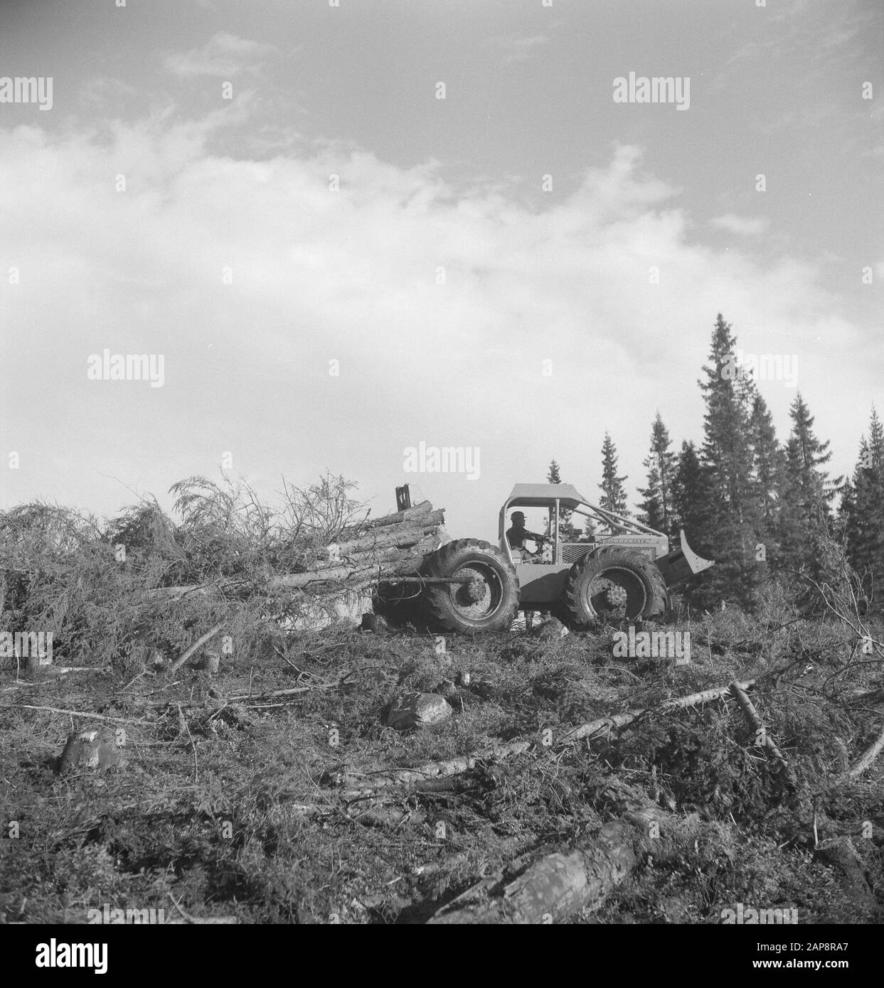 forestry, workers, logs, machines, tools, transport Date: undated ...