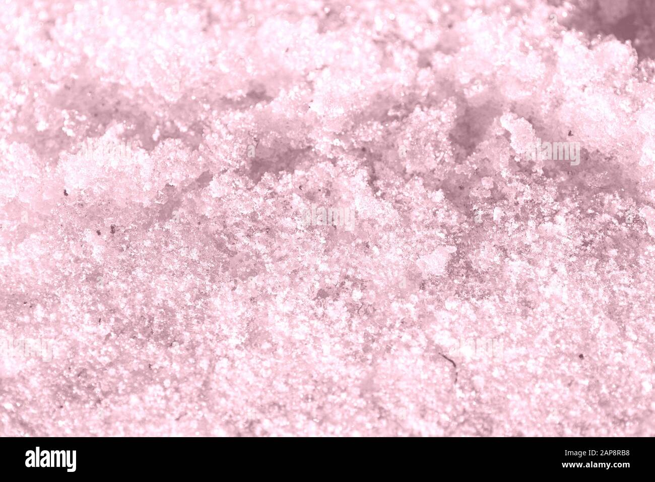 Spring snow texture close up. Abstract winter background pink color ...