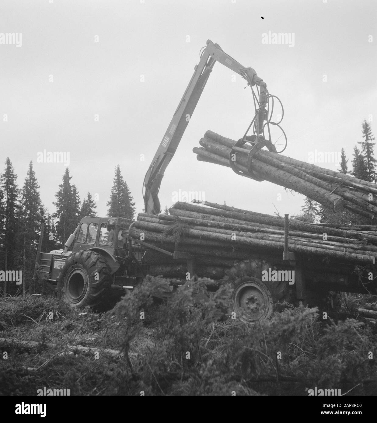 Mechanized hoist hi-res stock photography and images - Alamy