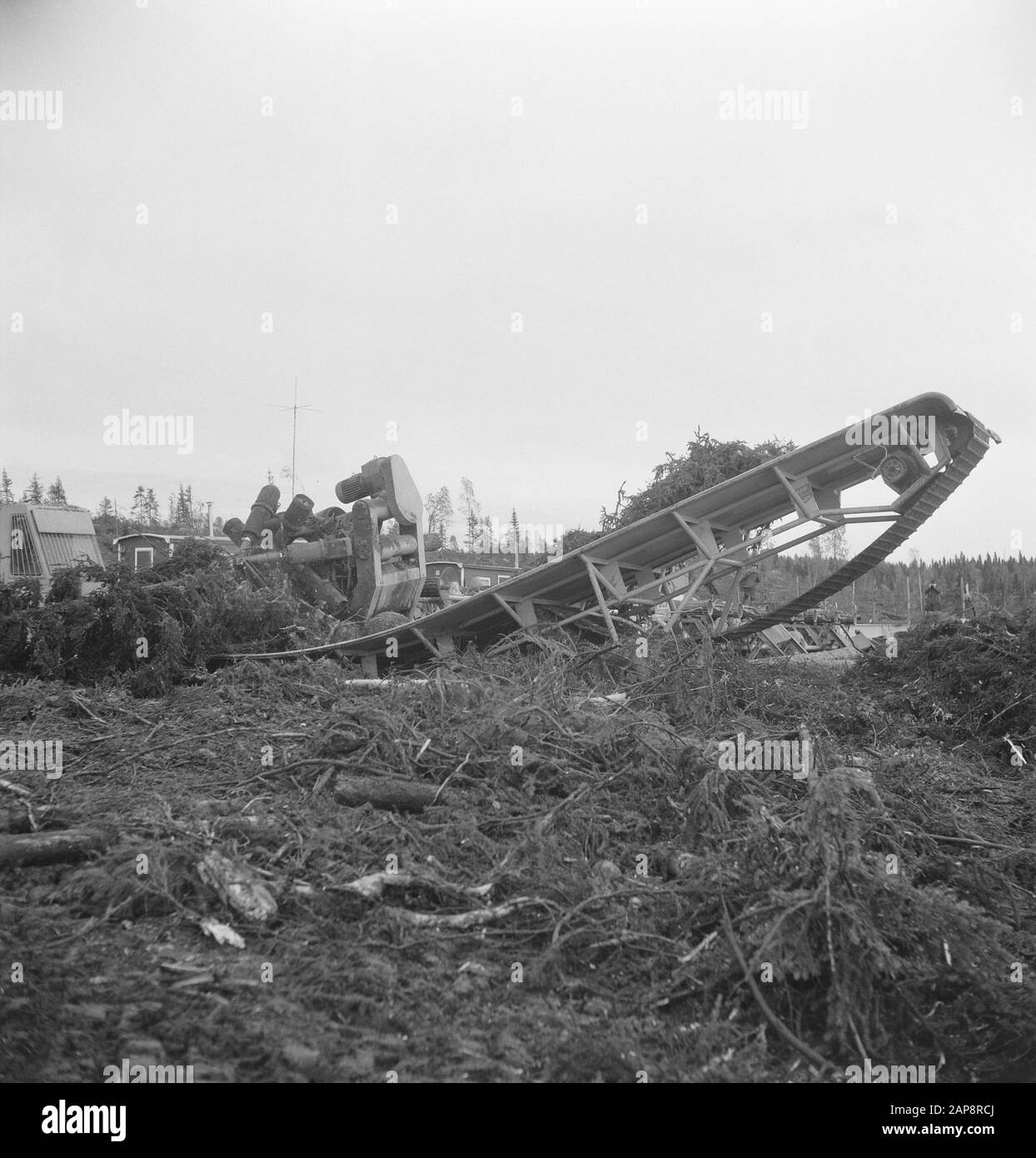 Operation machine cutting wood harvesting hi-res stock photography and ...