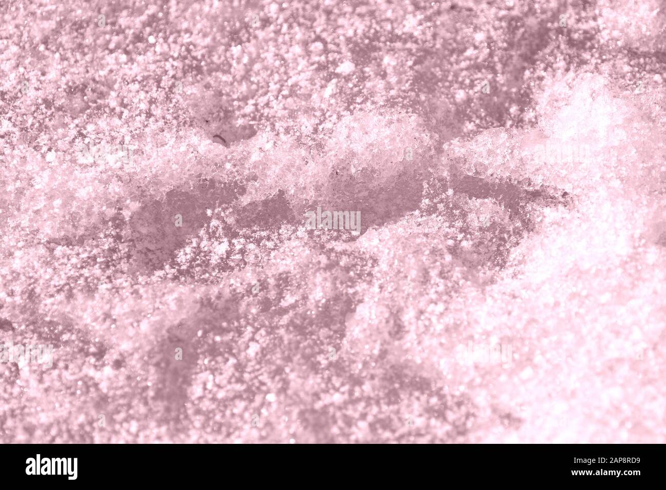 Spring snow texture close up. Abstract winter background pink color ...