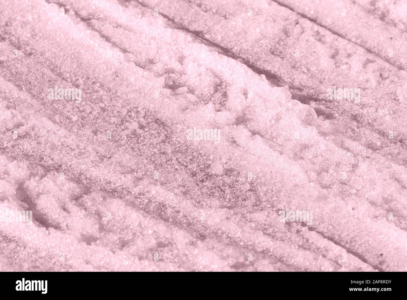 Spring snow texture close up. Abstract winter background pink color ...