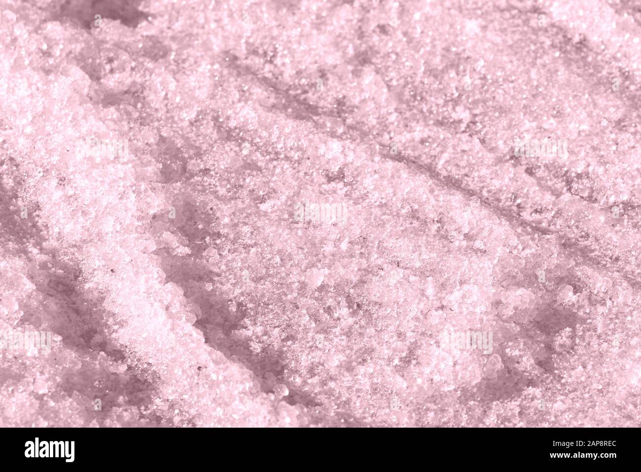 Spring snow texture close up. Abstract winter background pink color ...