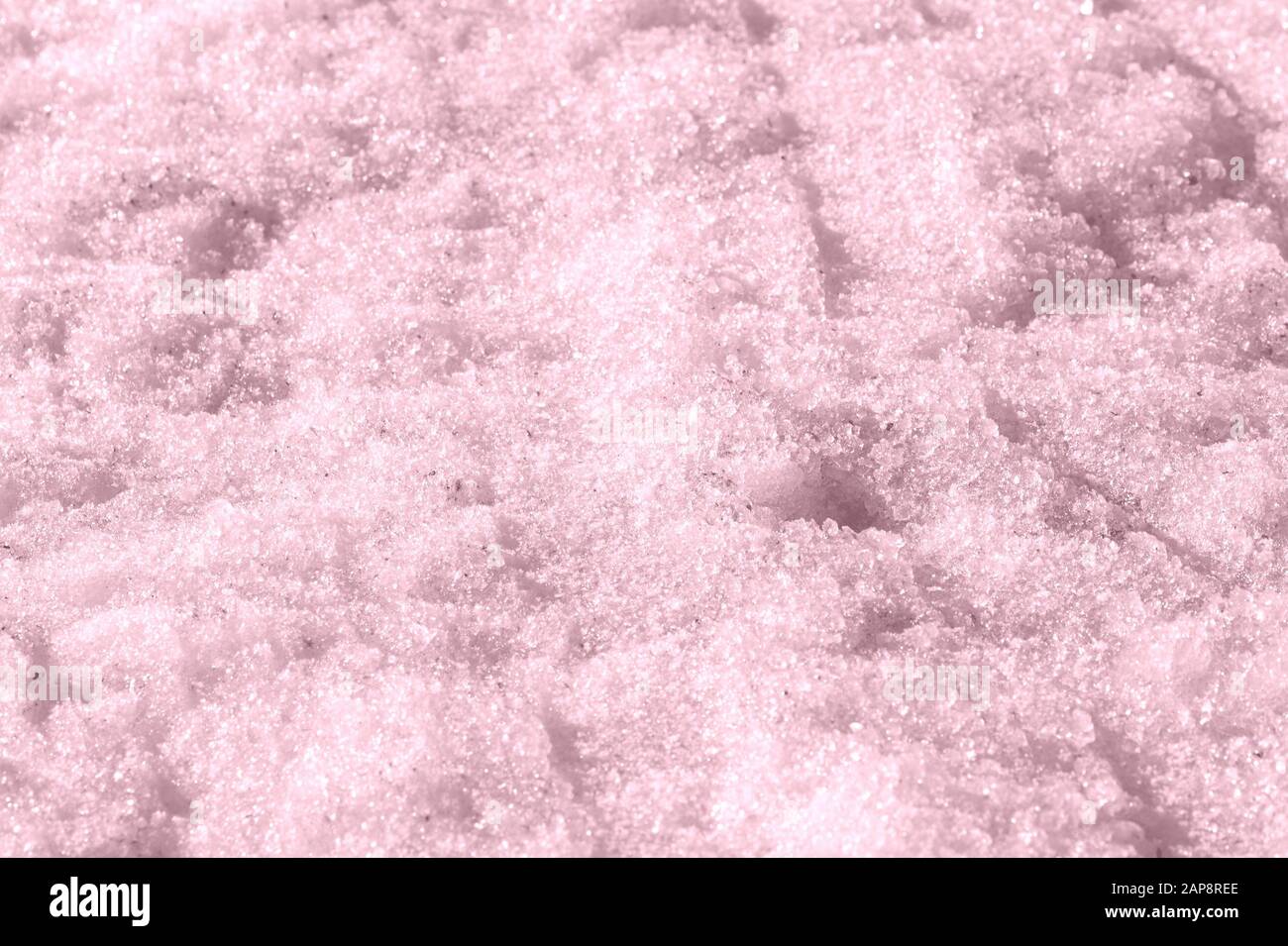 Spring snow texture close up. Abstract winter background pink color ...