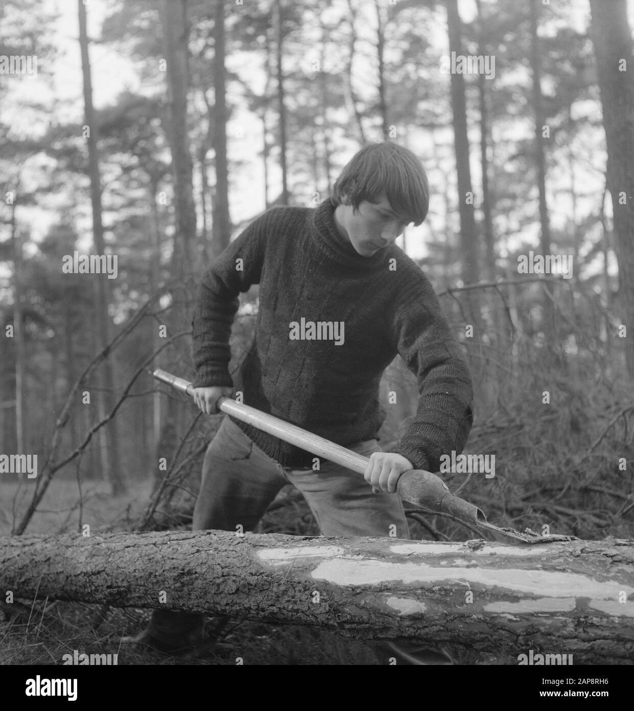 forestry, workers, tools, trees sheets Date: undated Keywords: workers ...