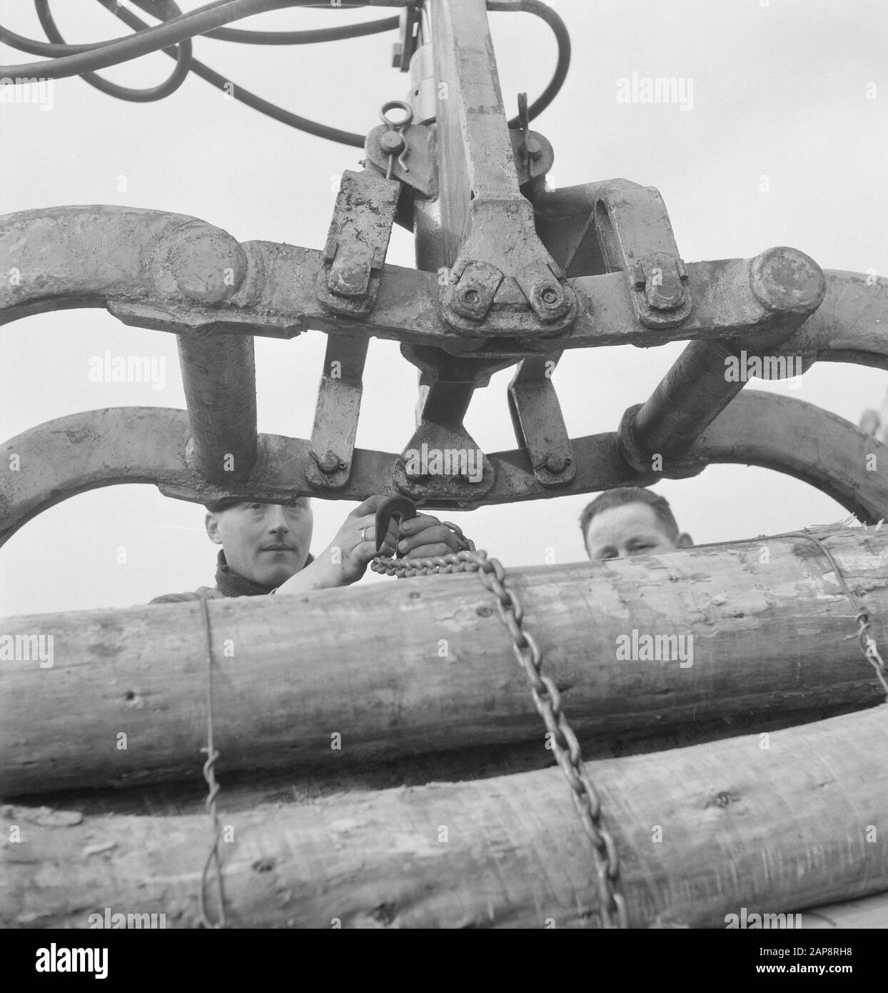 tree trunks, workers, chains, tying Date: undated Keywords: workers ...